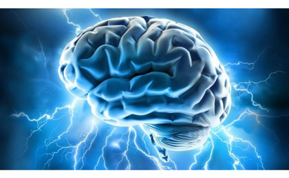 UK Centre for Intelligent Design : University finds brain's complexity ...